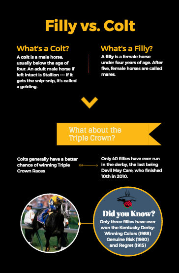 Should I Buy A Colt or a Filly - Thoroughbred Partnership Fact Sheet